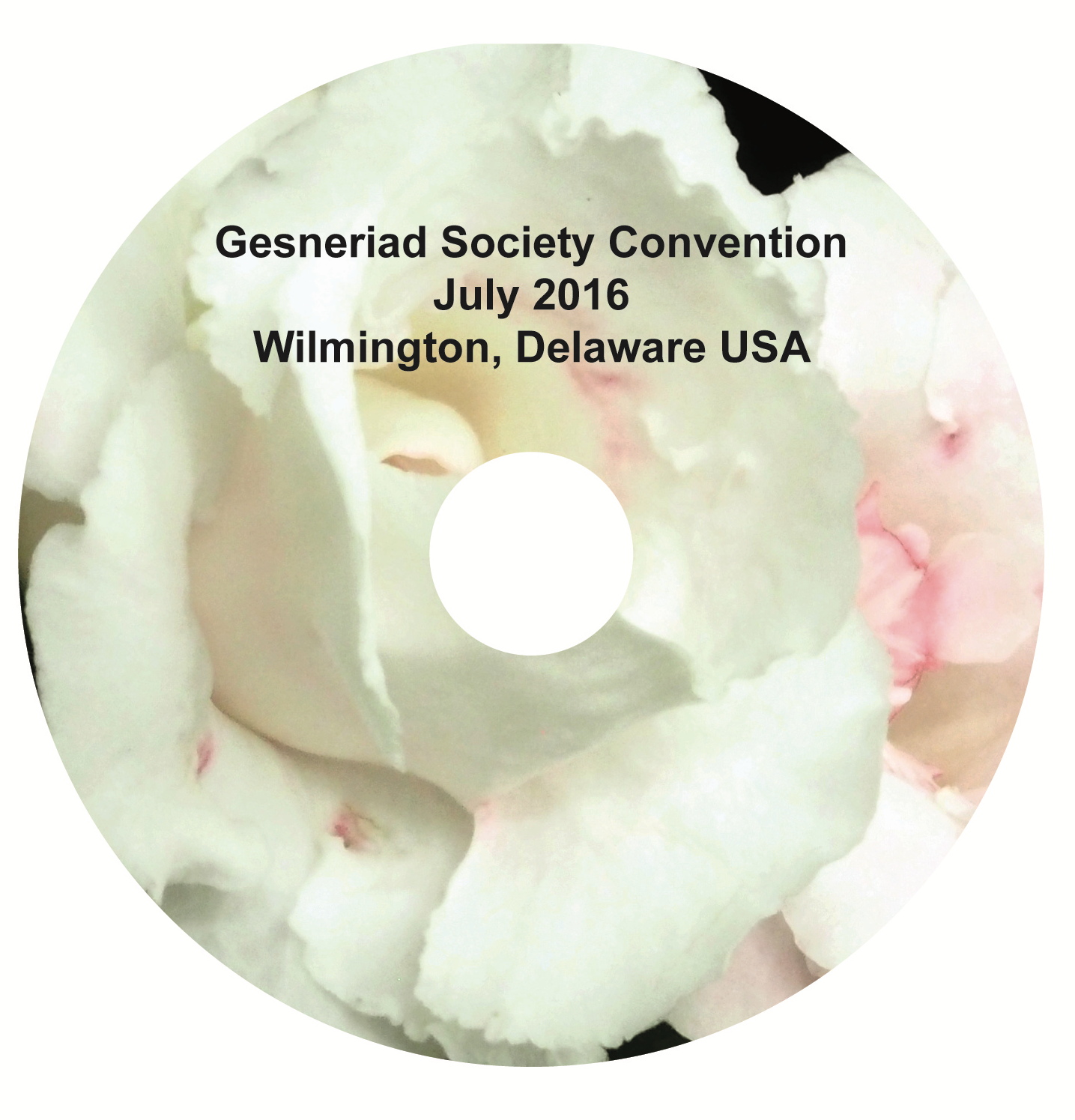 » 2015ConventionDVDCoverArtVersion3